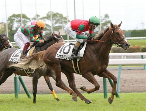 【マリナの日曜競馬コラム・阪神ジュベナイルf】 日刊ゲンダイ競馬
