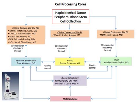 Sickle Cell Transplant Consortium Clinical Trial Cell Processing Core WELCOME