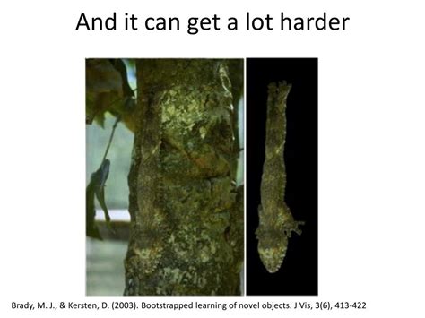 ppt object detection and recognition powerpoint presentation free