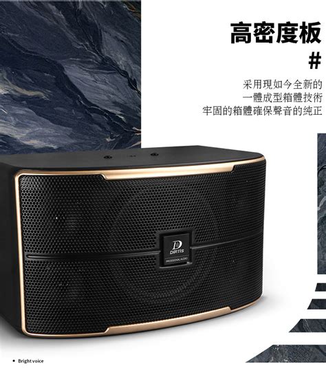 Pasion10专业10寸卡包音响家庭ktv会议舞台酒吧包房卡拉ok音箱 阿里巴巴