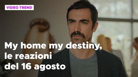 My Home My Destiny Il Riassunto E Le Reazioni Della Puntata Del Agosto My Home My Destiny