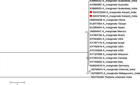 Neighbour Joining Tree Based On The Multiple Alignment Of Partial