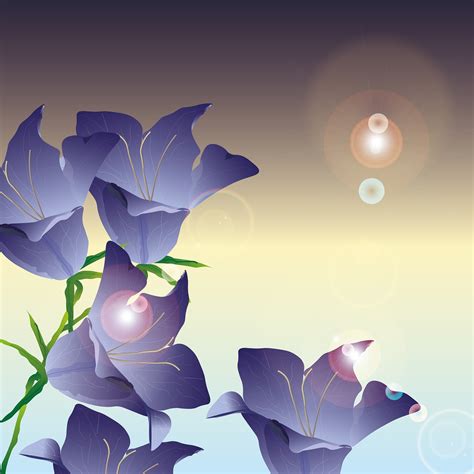 Campanula Bunga Lonceng Ungu Gambar Gratis Di Pixabay Pixabay