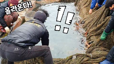 운이 좋았습니다 총무게 13톤 그물속에 숨어있던 엄청난녀석들의 정체는 Tv생물도감 Youtube