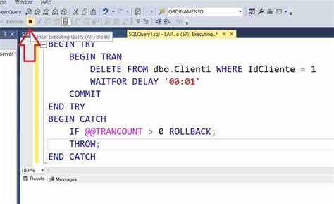Usare Il Try Catch Per Gestire Le Transazioni Su Sql Server
