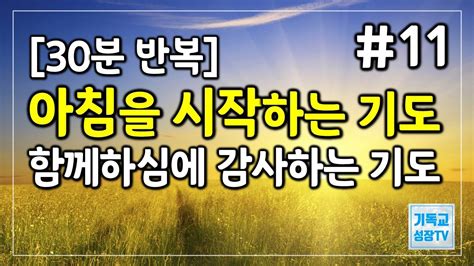 아침을시작하는기도 아침을여는기도 30분반복 하루를시작하는기도 출근길기도 Asmr 기도 하루를바꾸는기도 하루를여는기도 매일기도 함께하심에