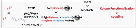 Nitriles As Functionalization And Coupling Agents For Polyolefins Obtained By Coordinative Chain