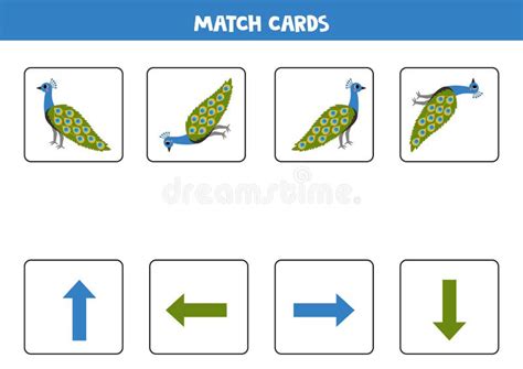 left right up or down spatial orientation with cute peacock stock