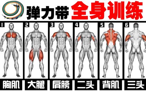 全网最全的弹力带训练教程，一条弹力带练遍全身，你值得拥有 哔哩哔哩