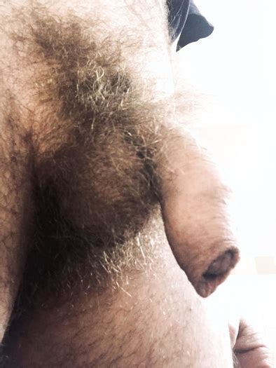 Hairy Dicks V2 Image 3711441 Thisvid Tube