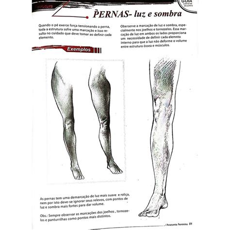 Guia Curso BÁsico De Desenho Anatomia Feminina Tem De Tudo Guarulhos