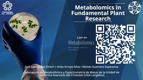 Metabolomics In Fundamental Plant Research
