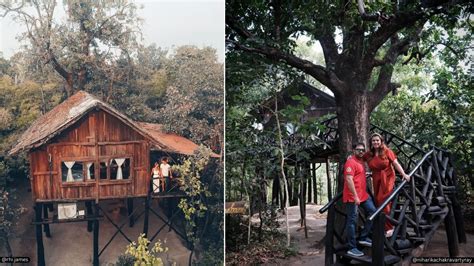 बधवगढ क टर हउस हईडव दत ह जगल क बच रहन क एक नय अनभव Ghumne Ki Jagah