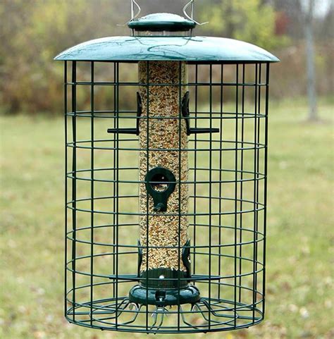 Starling Proof Bird Feeder Bird Watching Hq