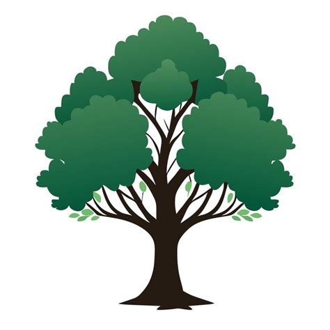 Premium Vector Oak Tree Vector Illustration Detailed Digital Art On A