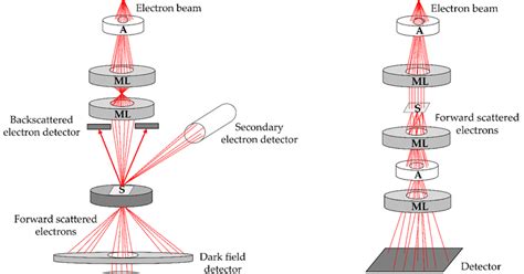 Electron Microscope Principle Working Advantages Limitation And