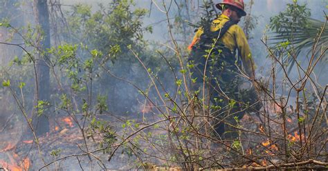 Prescribed Burn Set To Take Place In Berlin Park Camden County Nj