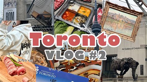 🇨🇦 캐나다 토론토 어학연수 브이로그 2 Toronto Vlog 팀홀튼 • 차이나타운 • 스투시 • Cn타워 • 달동네