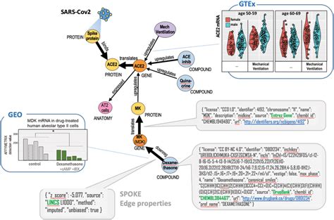 Scalable Precision Medicine Knowledge Engine Spoke‐enabled
