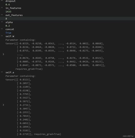 【pyg】图神经网络gat代码自学 gat的权重初始化代码 csdn博客