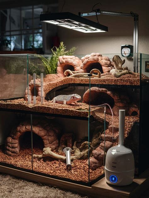 Easy Diy Leopard Gecko Terrarium Ideas Leopard Gecko Gecko Terrarium Leopard Gecko Terrarium