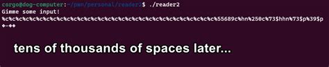 A Full Guide To Format String Exploitation 🐕🪦