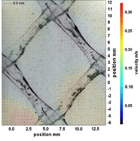 Time Averaged Velocity Field Final Interrogation Area 32932 Px 100
