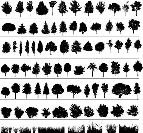 Bushes Vector Images Over 94 000