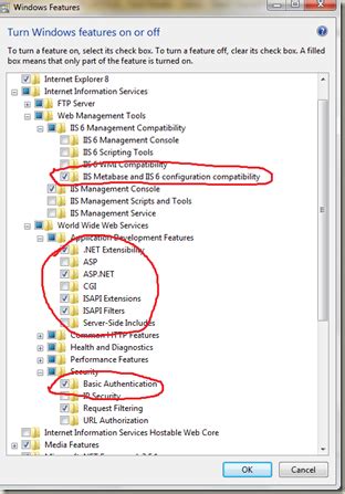 Installing IIS On Windows Just A Thought