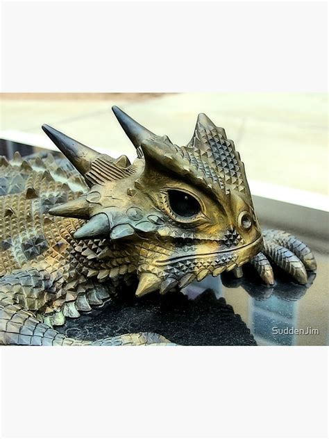 Horny Toad Poster For Sale By Suddenjim Redbubble