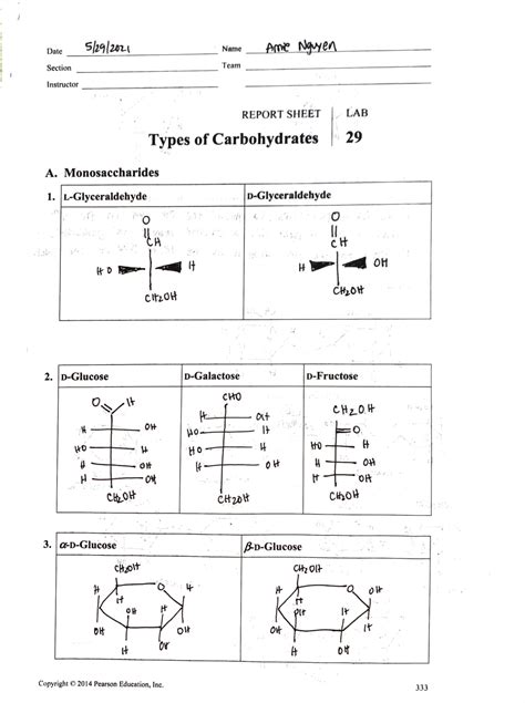 Solution Types Of Carbohydrates And Enzymes Lab Report Studypool