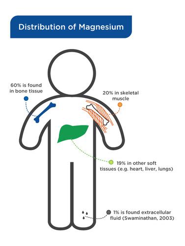 NASM CNC Practice Exam Flashcards Quizlet