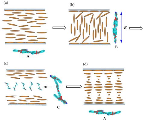 Model For The Electric Field Induced Phase Transition Download