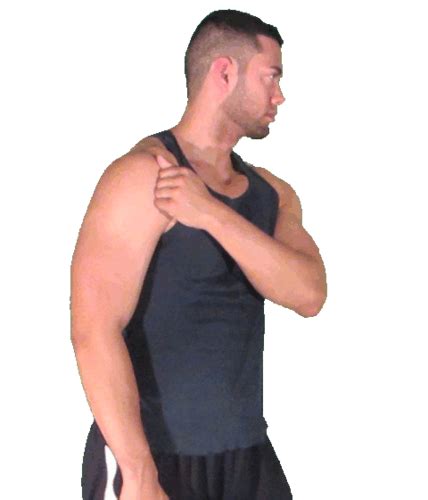 Assimilator Original Characters Ak1 Mugen Community