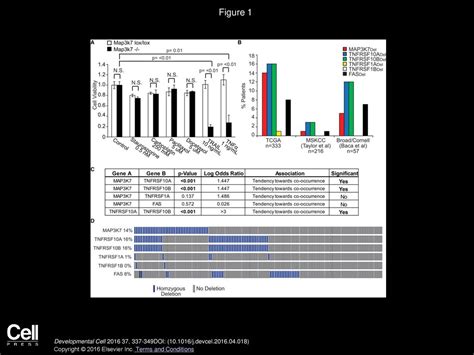 Volume 37 Issue 4 Pages May 2016 Ppt Download