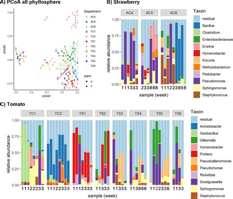 The Greenhouse Phyllosphere Microbiome And Associations With Introduced Bumblebees And Predatory