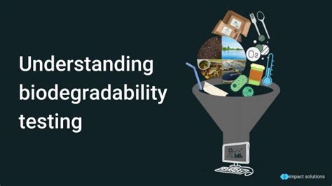 Understanding Biodegradability Testing Impact Solutions