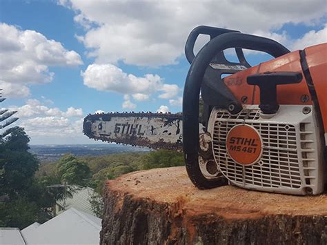 Home North Shore Tree Services Removal