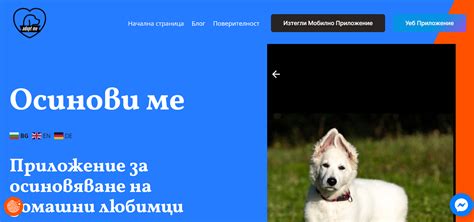 Добричлията Владислав Енев E създател на платформа за осиновяване на бездомни животни Новини