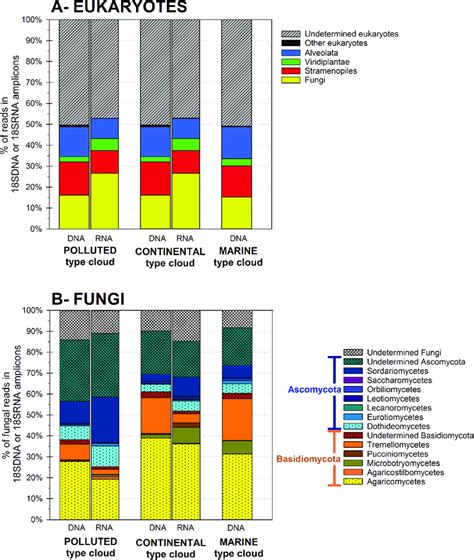 Eukaryotic Total Dna Fraction And Active Rna Fraction Community