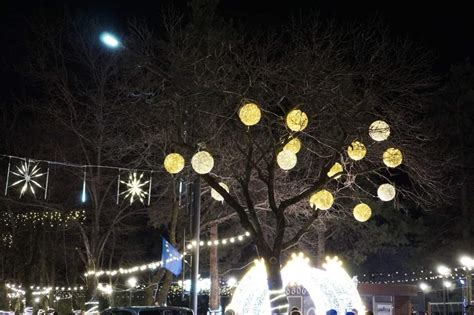ახმეტაში ნაძვის ხე და საახალწლო ილუმინაციები საზეიმოდ აინთო ფოტოები Knews Ge