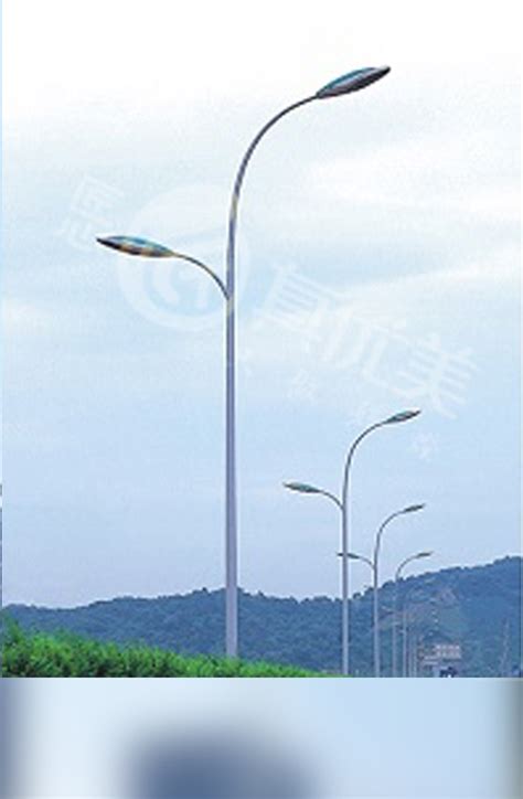道路灯景观照明景观亮化深度定制城市亮化街景园景亮化景观照明一体全链生产商