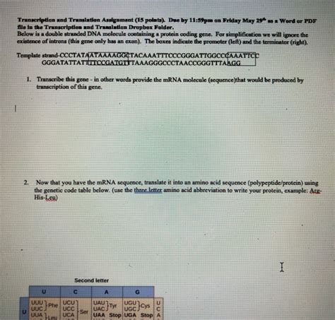 Solved Transcription And Translation Assignment 15 Points Chegg Com