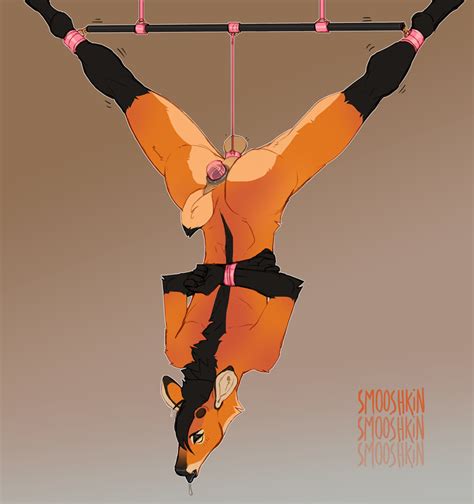 Rule 34 Anal Anal Sex Anthro Anus Arms Behind Back Ass Ball Bondage