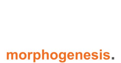 Morphogenesis Architects Plot No 41 Industrial Estate Okhla Phase