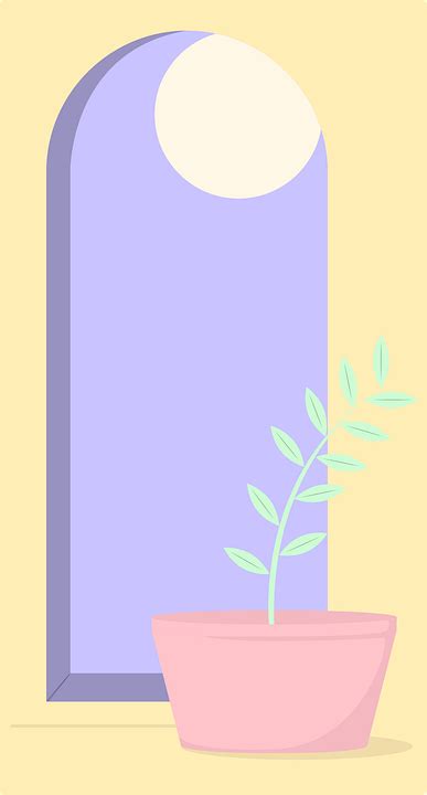 Maceta Ventana Luna Gráficos Vectoriales Gratis En Pixabay