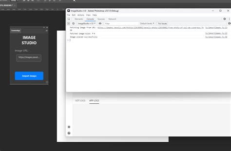Placing Image In The Photoshop Document Not Working Photoshop