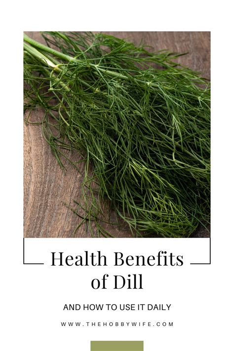 Health Benefits Of Dill How To Use It Daily The Hobby Wife