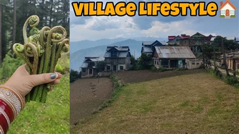 ️village Lifestylejungle Wali Sabjikasrodhumara Gaon😊 Youtube