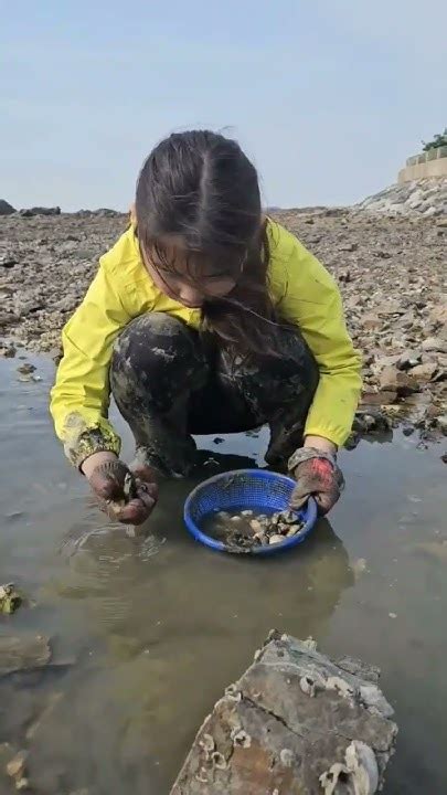 이삭조개 줍는 여인 대부도 갯벌 체험 Youtube
